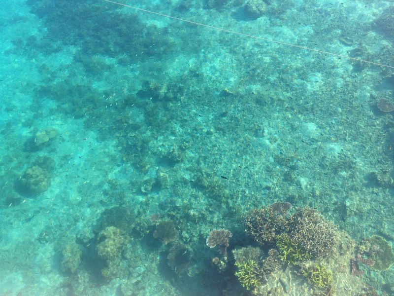 Scuba Diving In Malaysia: 4 Awesome Dive Spots Around Tioman