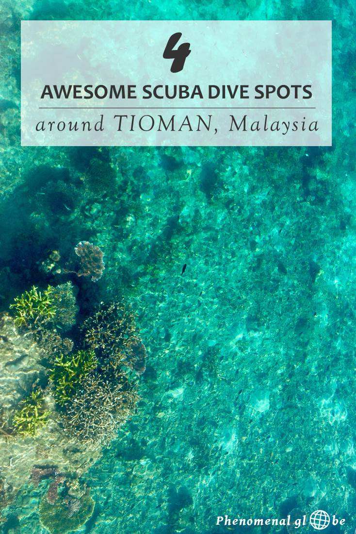 Scuba Diving In Malaysia: 4 Awesome Dive Spots Around Tioman