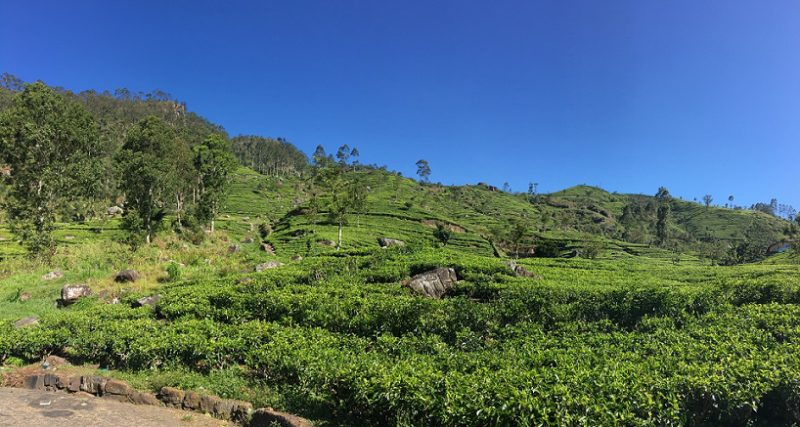 The Perfect 1 Month Sri Lanka Itinerary And Travel Guide