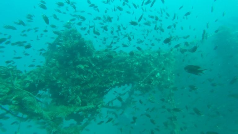 Guide To The Perhentian Islands: Diving, Snorkeling And Relaxing