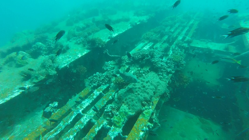 Guide To The Perhentian Islands: Diving, Snorkeling And Relaxing