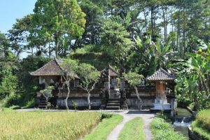 Get To Know The Real Bali: Live Like A Local In Sebatu Village