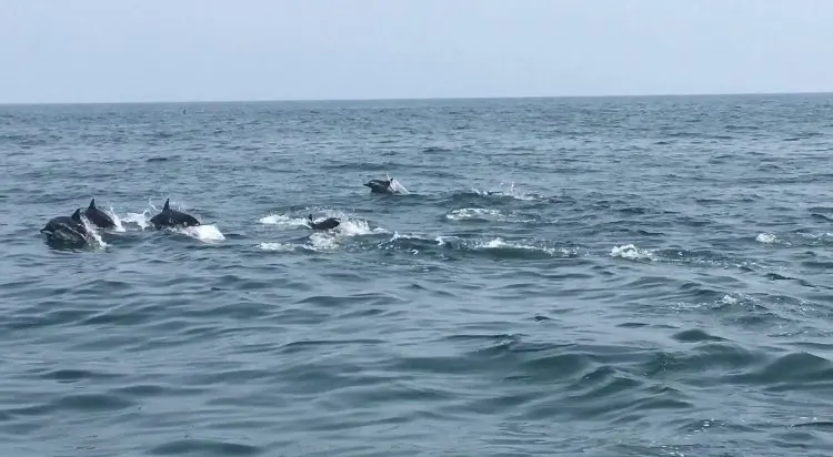 10 Best Things To Do In Muscat: A Perfect Muscat Itinerary