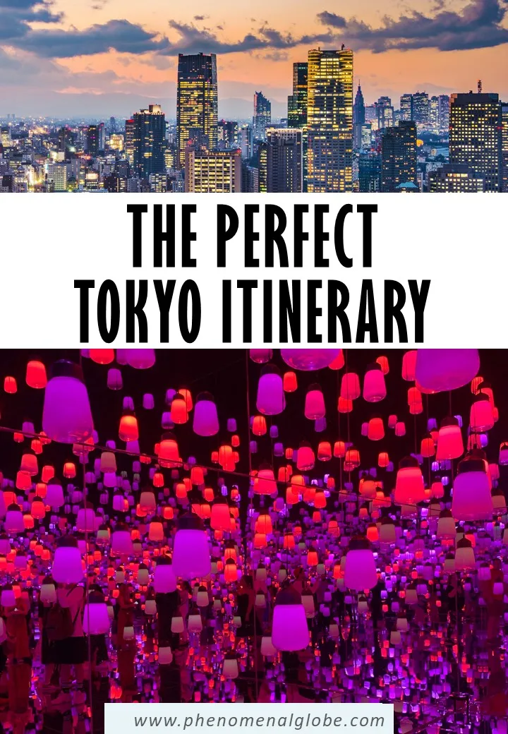 The Perfect Tokyo 5 Day Itinerary And City Guide (2023)