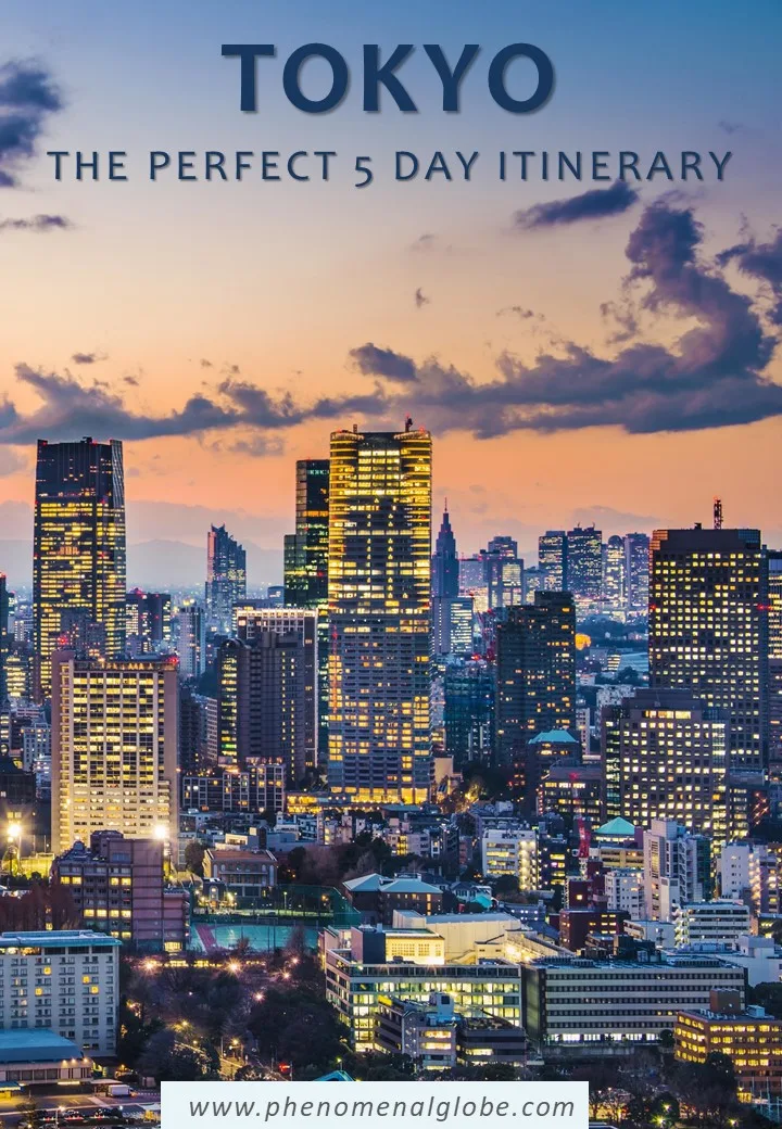 The Perfect Tokyo 5 Day Itinerary And City Guide (2023)