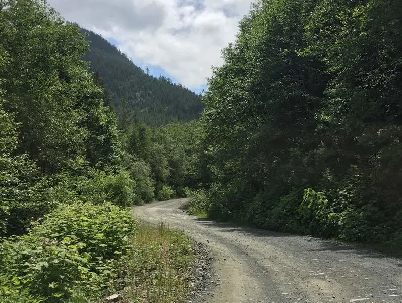 13 Best Things To Do In Nelson BC, Canada (2023)