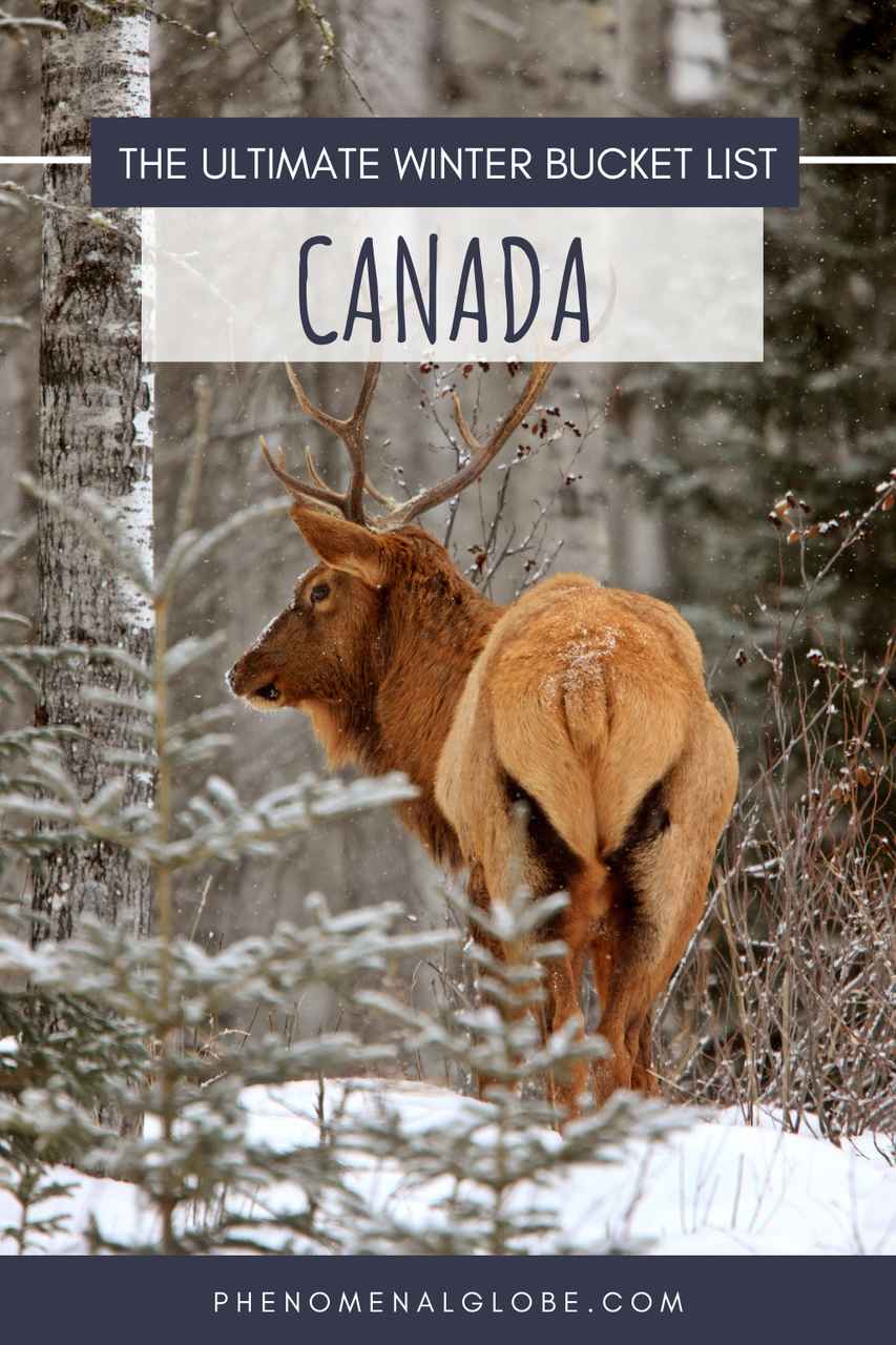20 Best Things To Do In Canada In Winter (2023)