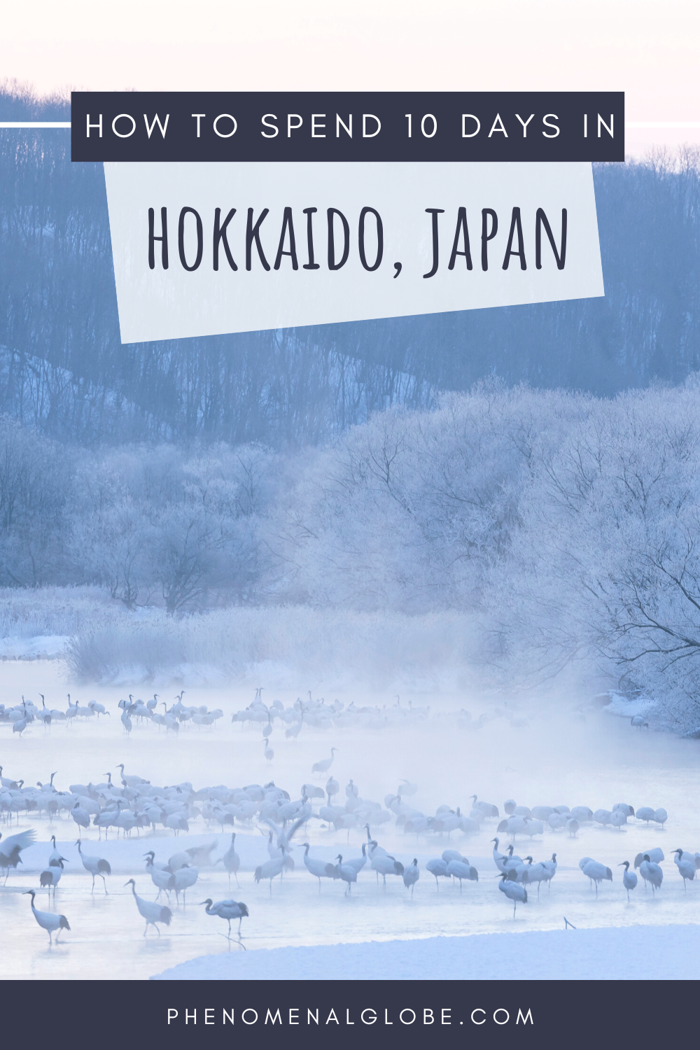 Hokkaido Road Trip: The Perfect 10 Day Hokkaido Itinerary
