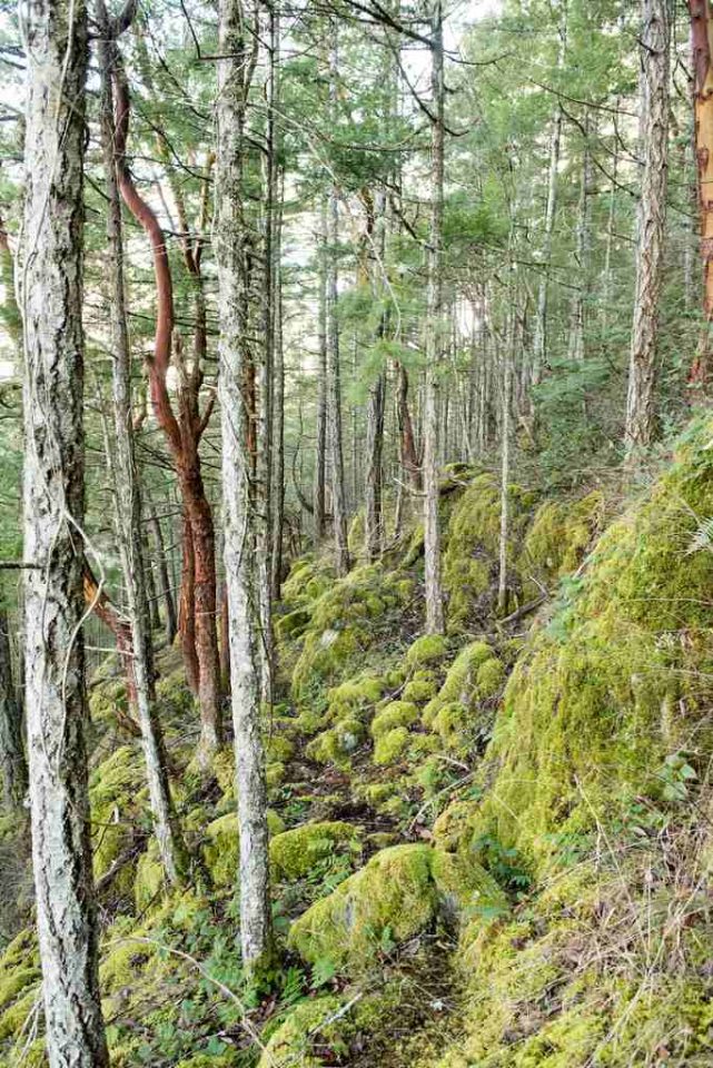 20 Best Things To Do On Pender Island, BC (2023)